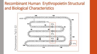 Recombinant human erythropoietin | PPTX