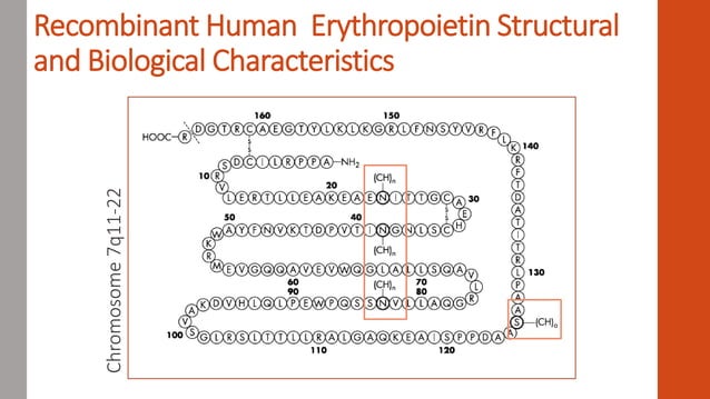 Recombinant human erythropoietin | PPTX | Blood Disorders | Diseases ...