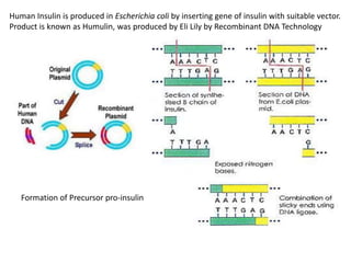 Recombinant insulin | PPTX