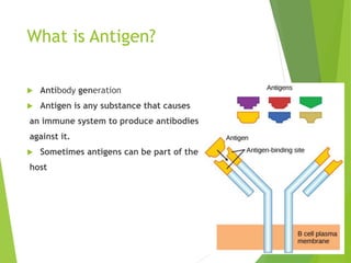 Recombinant monoclonal antibody technology | PPT