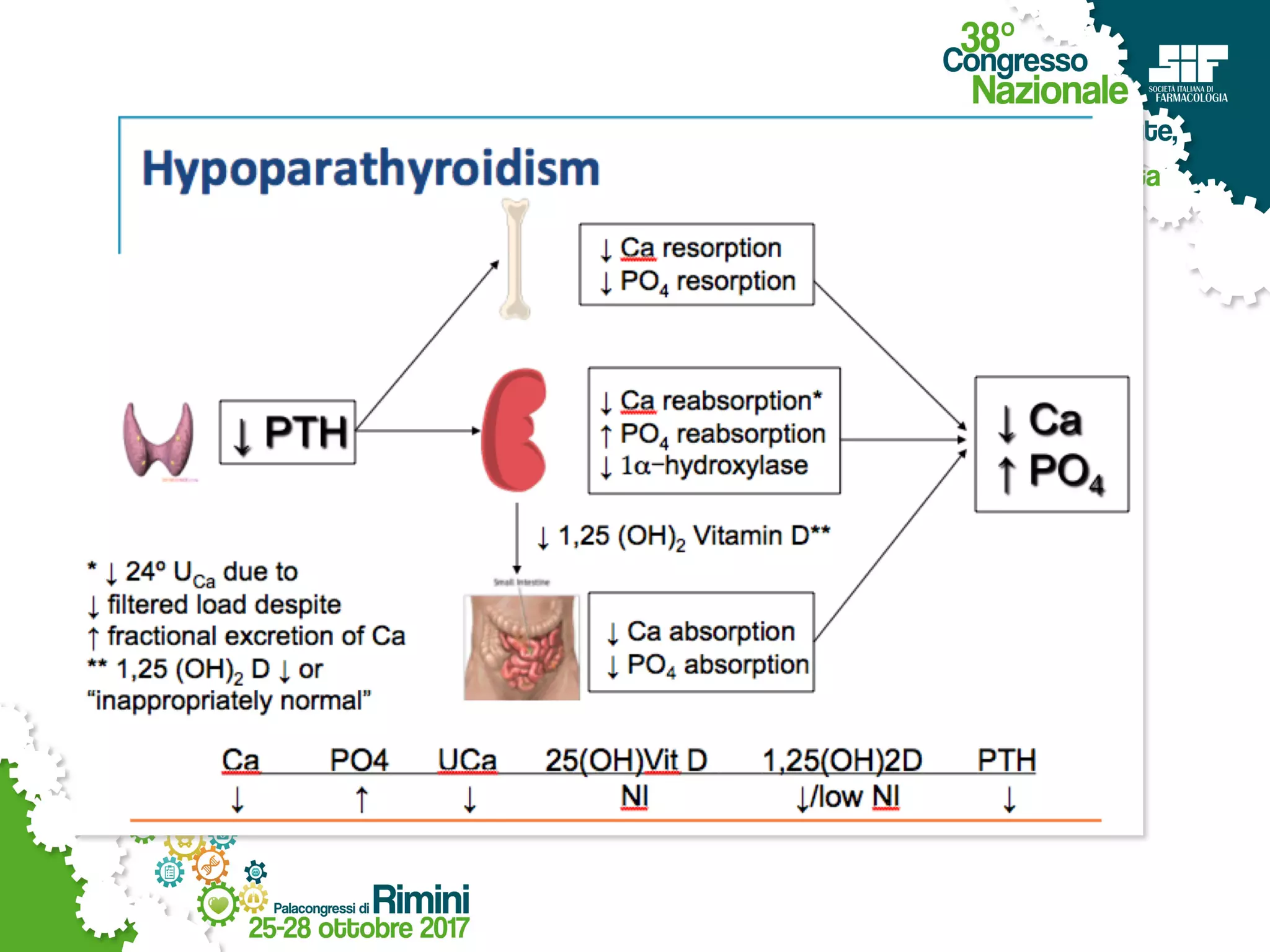 Recombinant parathyroid hormone and hypoparathyroidism | PDF | Endocrine and Metabolic Diseases ...