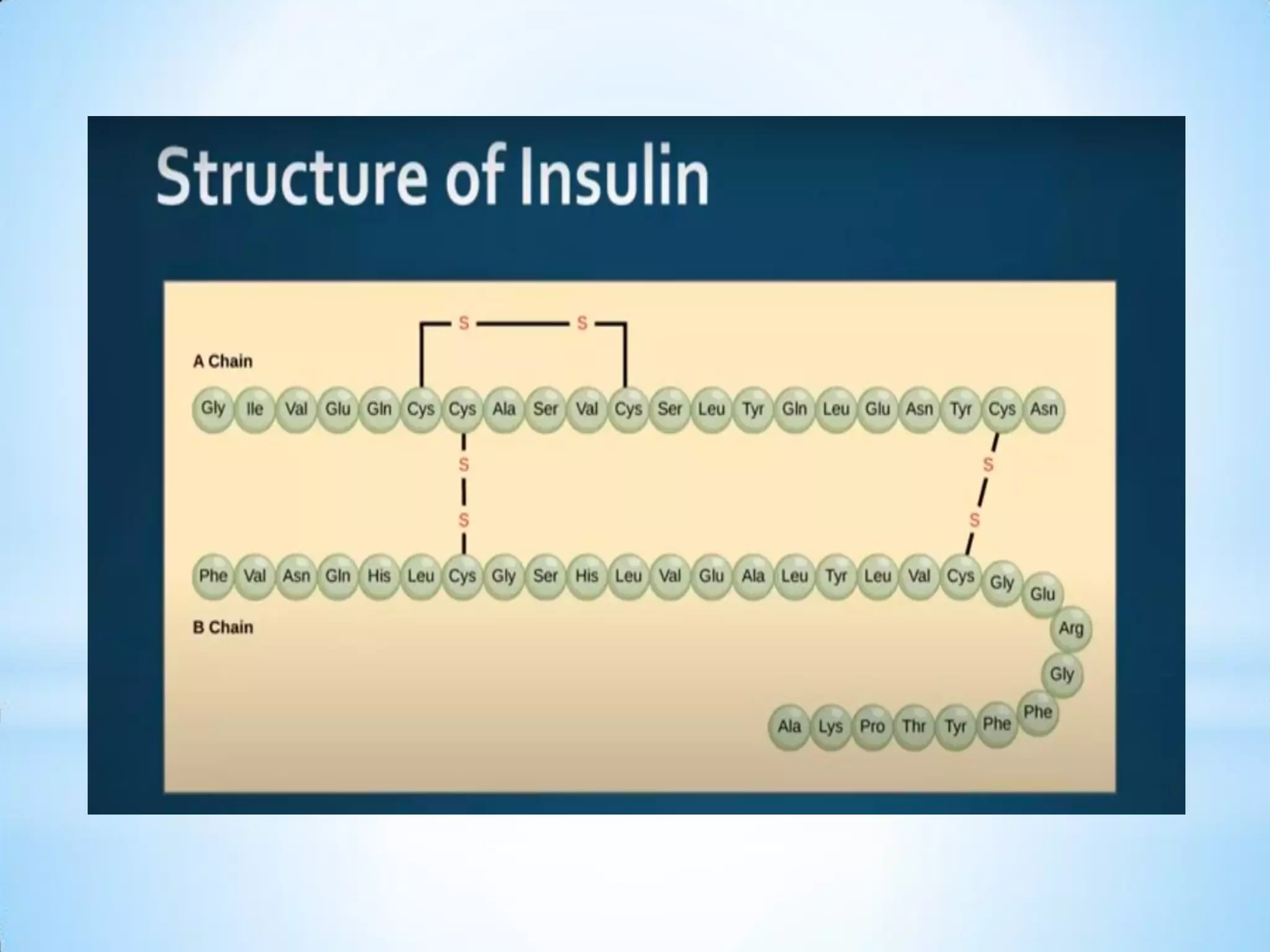 Recombinant production of insulin | PDF