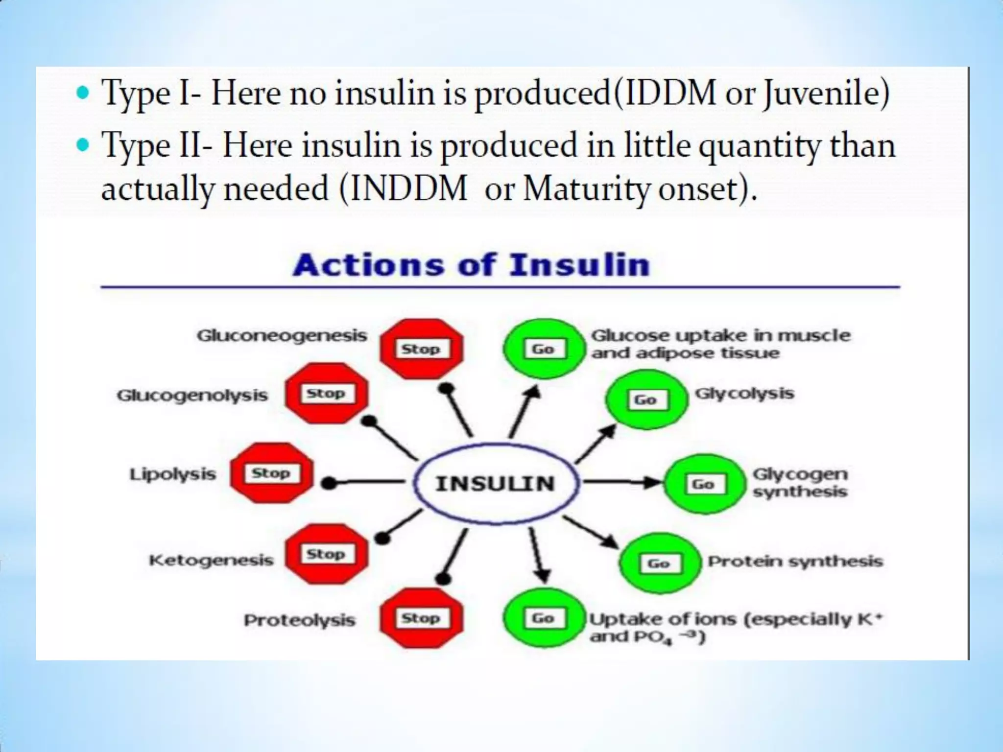 Recombinant production of insulin | PDF