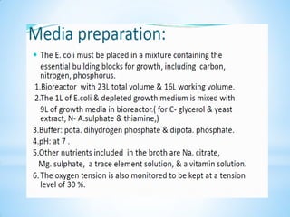 Recombinant production of insulin | PDF