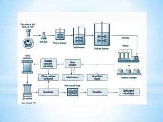 Recombinant production of insulin | PDF