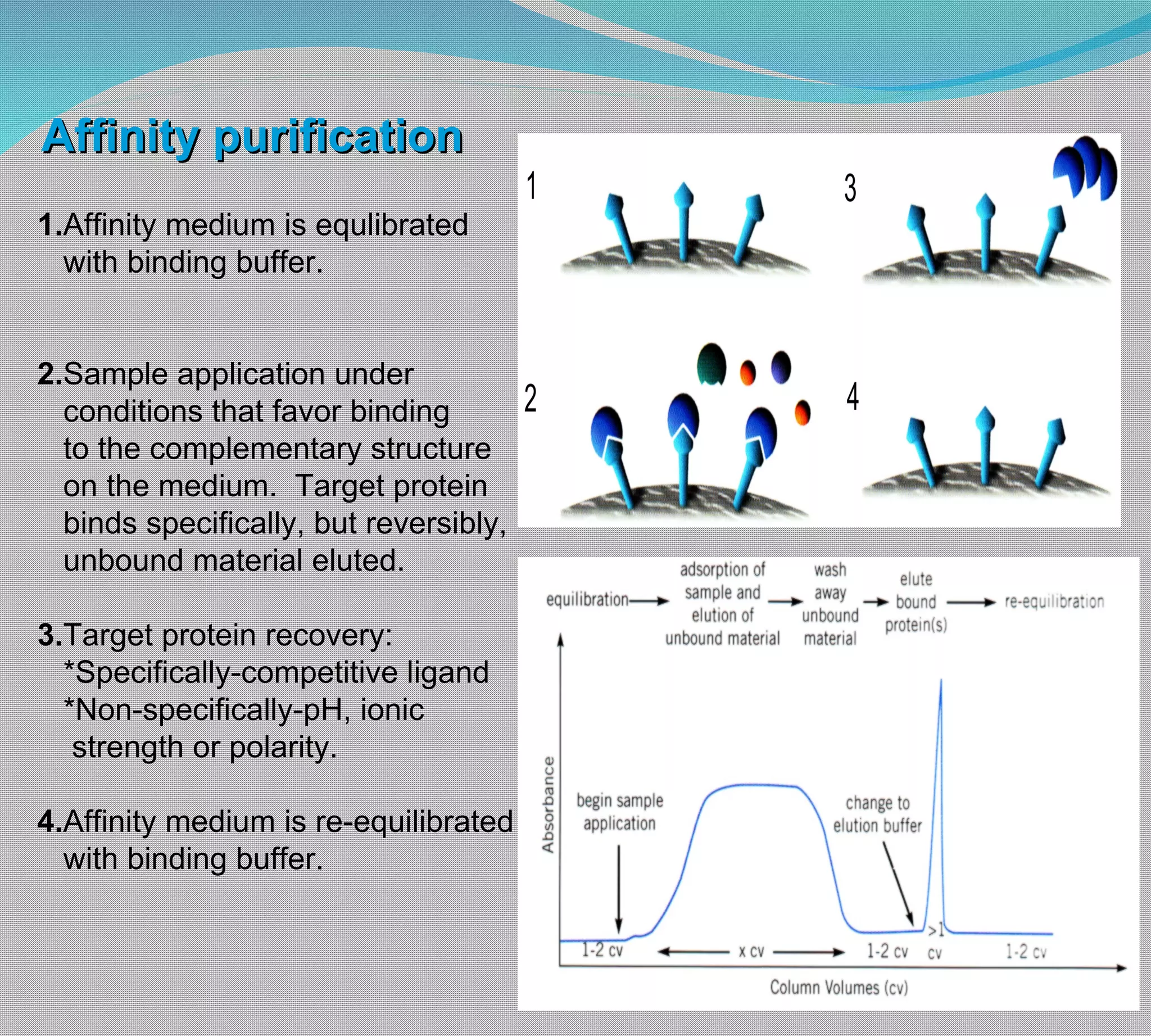 Recombinant protein expression and purification Lecture | PPT