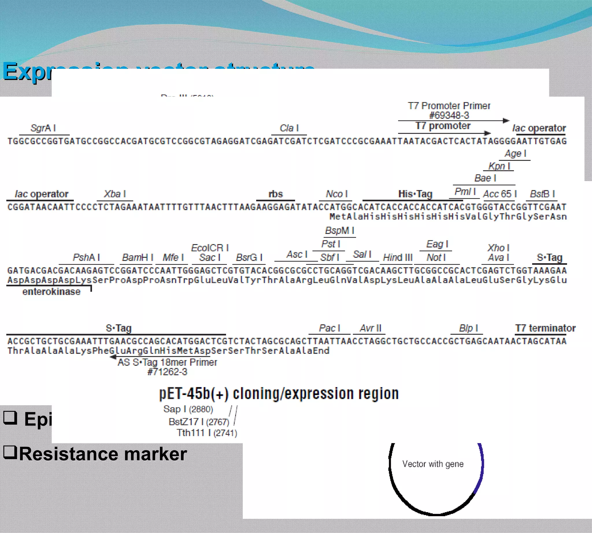 Recombinant protein expression and purification Lecture | PPT