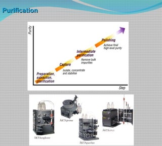 Recombinant protein expression and purification Lecture | PPT