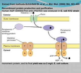 Recombinant protein expression and purification Lecture | PPT