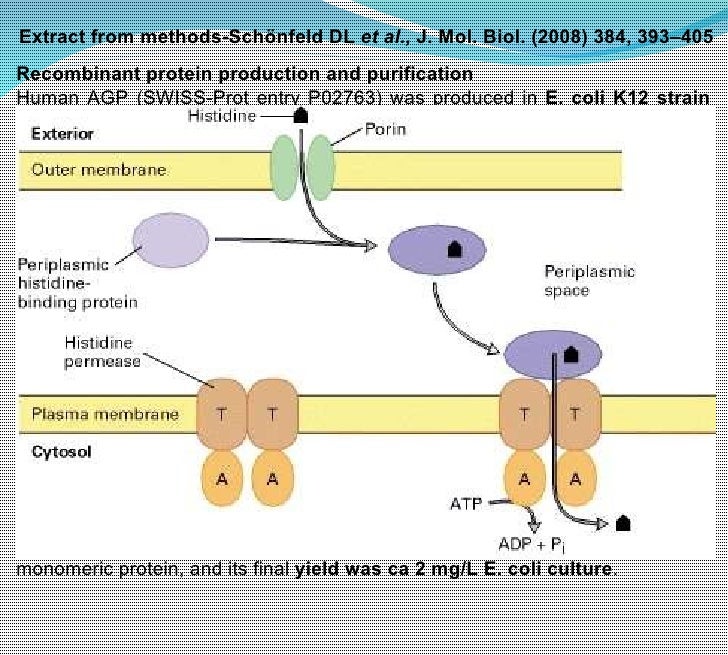 Recombinant protein expression and purification Lecture