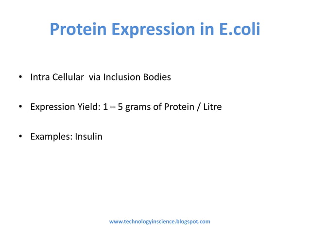 Recombinant protein expression in E.coli | Biotech and Biomedical ...