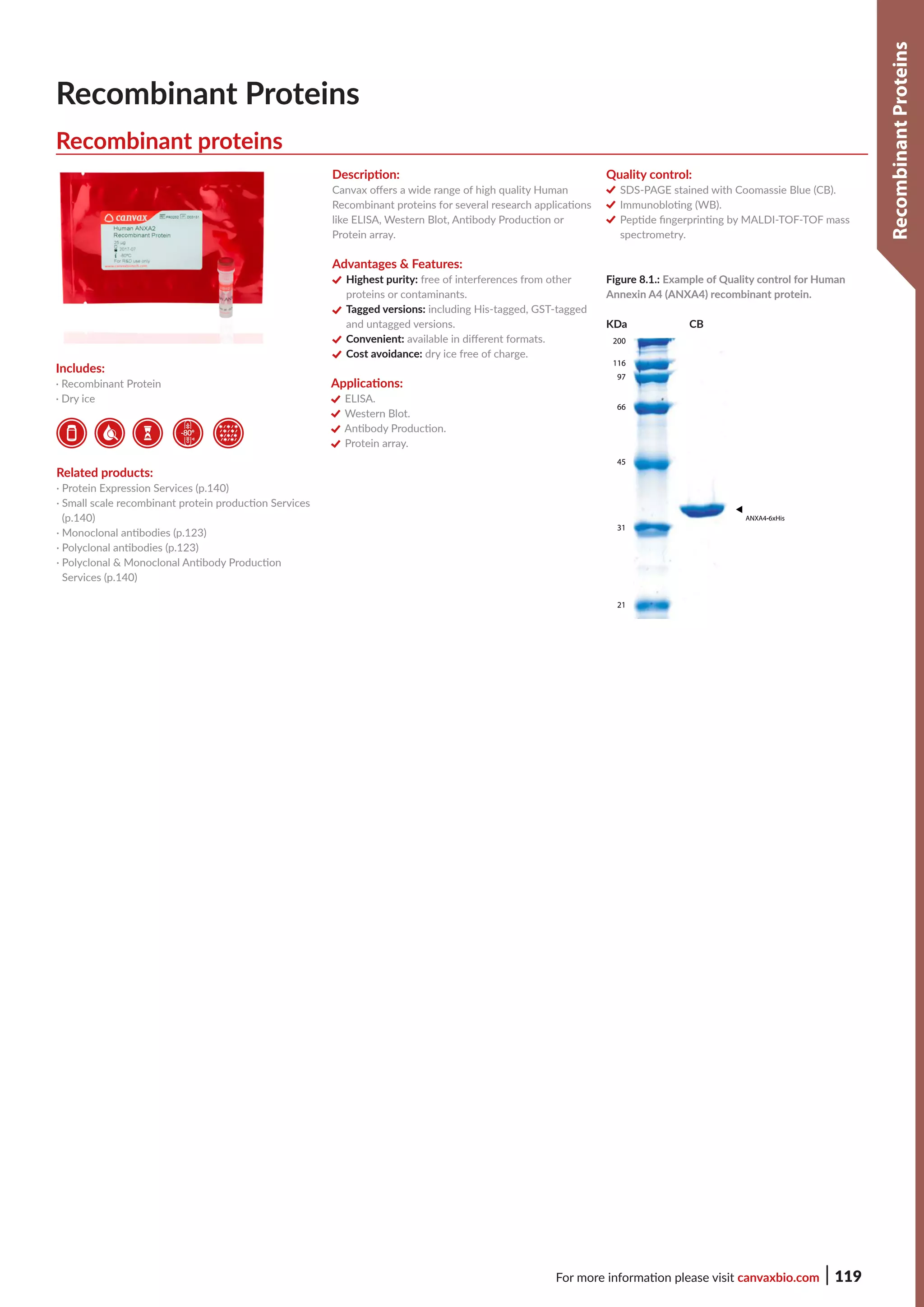 Recombinant Proteins | PDF