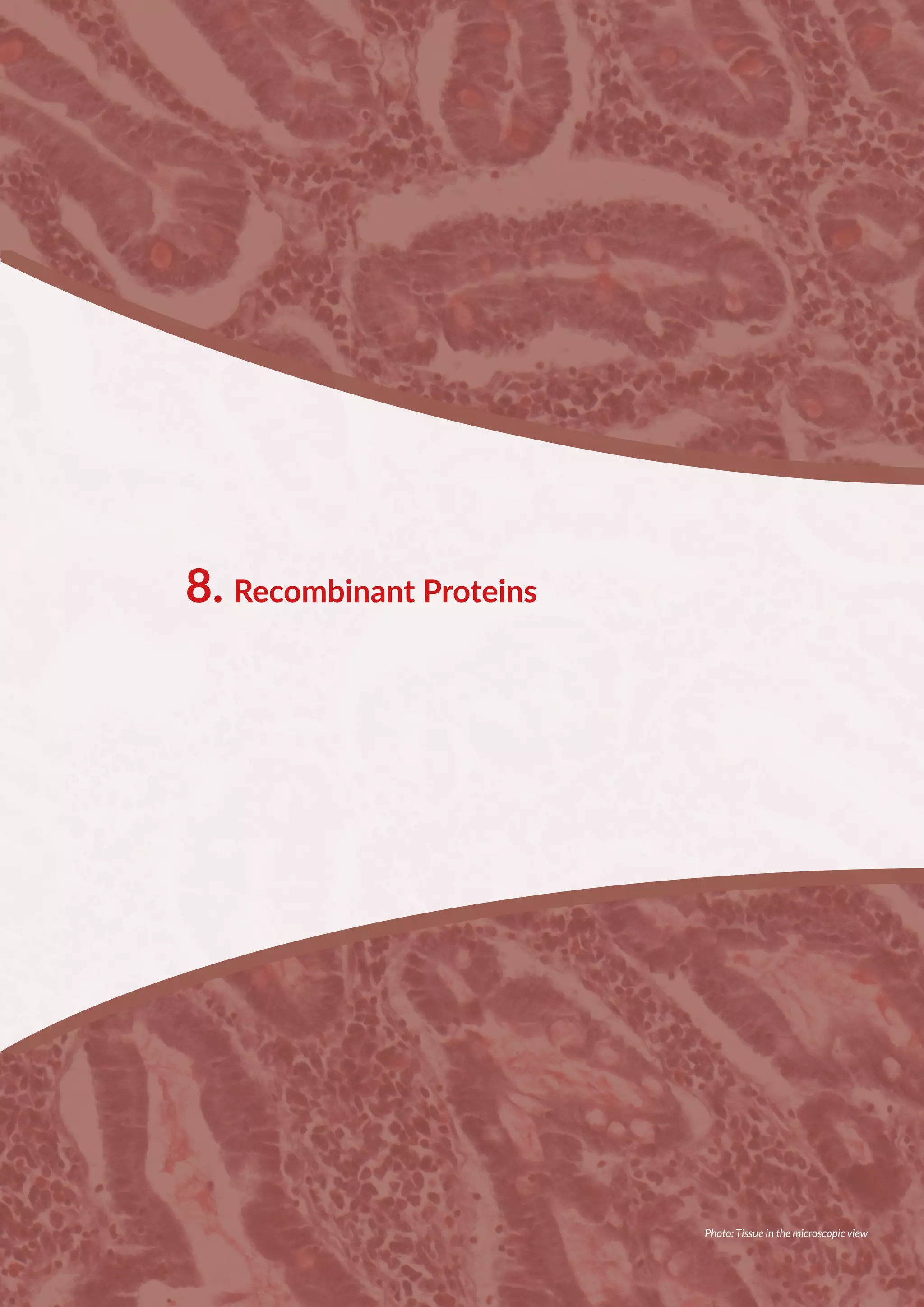 Recombinant Proteins | PDF