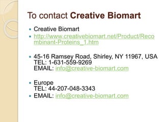 Recombinant proteins by creative biomart (1) | PPT