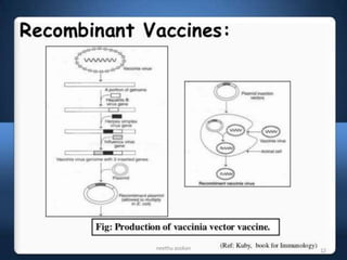 Recombinant Dna Vaccines