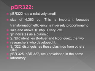 Recombinant vectors.pptx