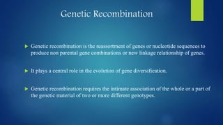 Recombinatins .pptx