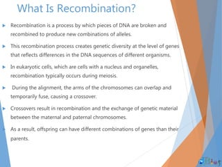 Recombination | PPTX