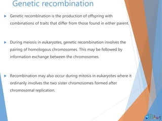 Recombination | PPTX