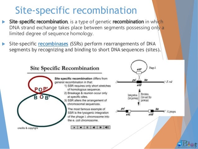 Recombination