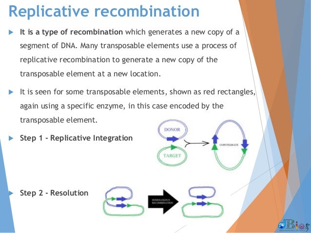 Recombination