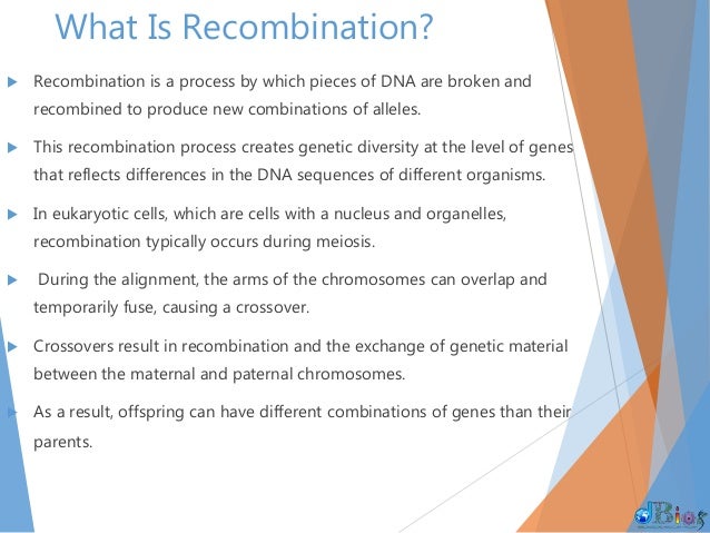 Recombination