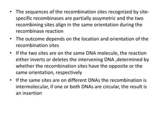 Recombination | PPTX