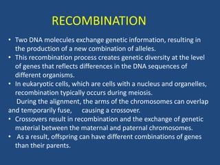 Recombination | PPTX