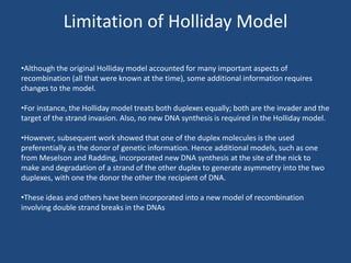Recombination | PPTX