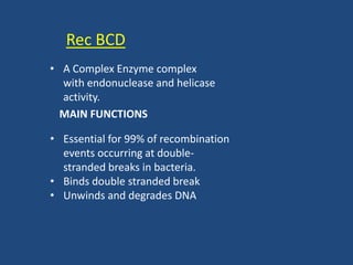 Recombination | PPTX