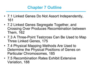 recombination.ppt