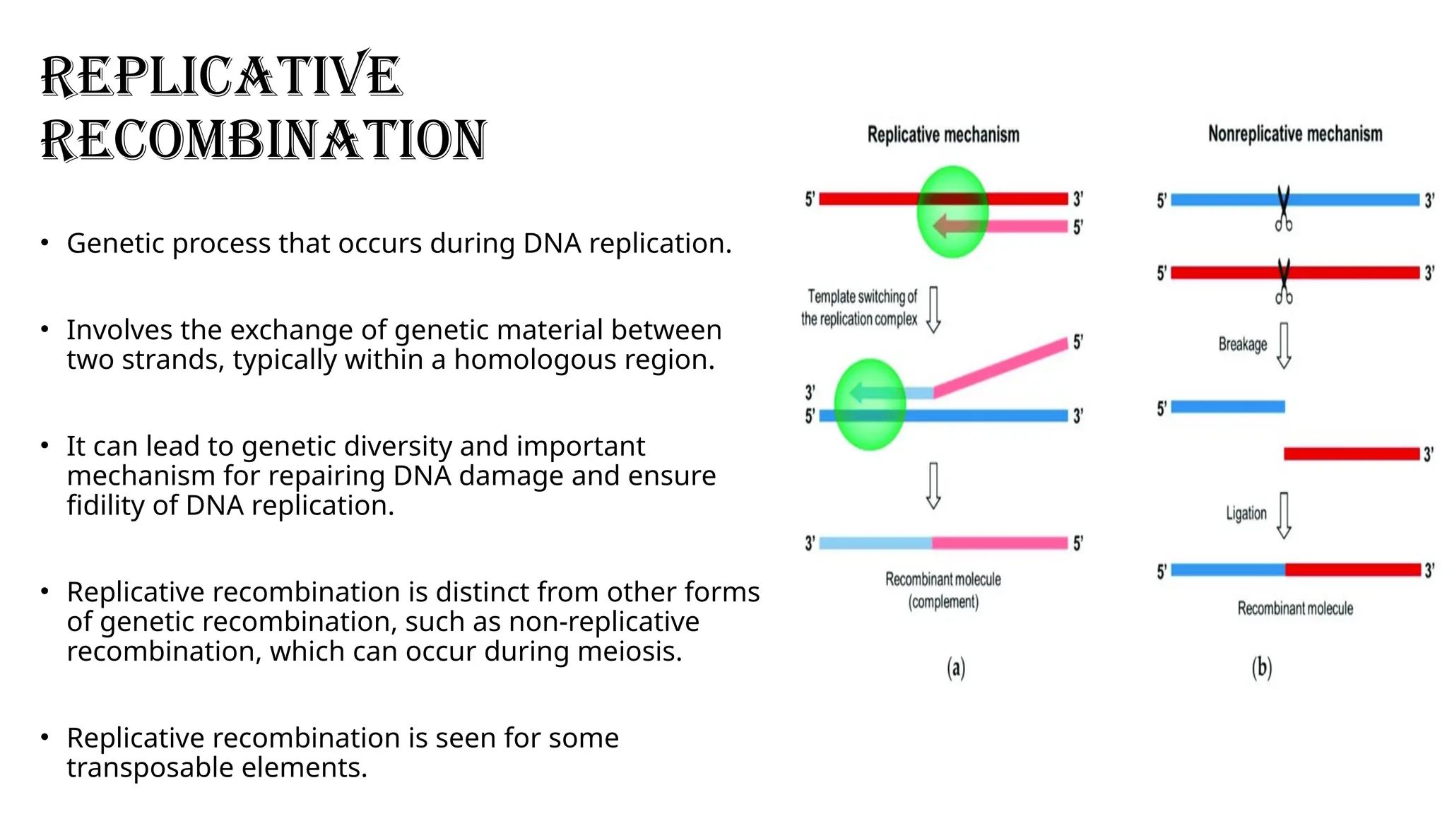 recombination.pptx 4 types of recombination | PPTX