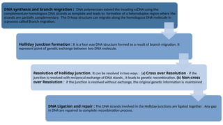 recombination.pptx 4 types of recombination | PPTX