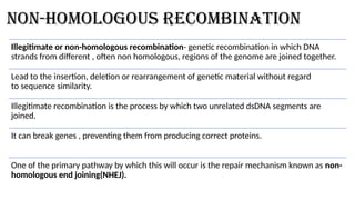 recombination.pptx 4 types of recombination | PPTX