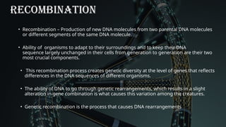 recombination.pptx 4 types of recombination | PPTX