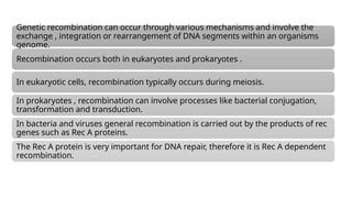 recombination.pptx 4 types of recombination | PPTX