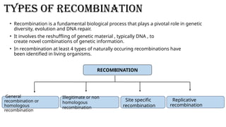 recombination.pptx 4 types of recombination | PPTX