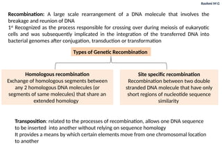 Recombination(Introduction, Homologous recombination, Site specific ...