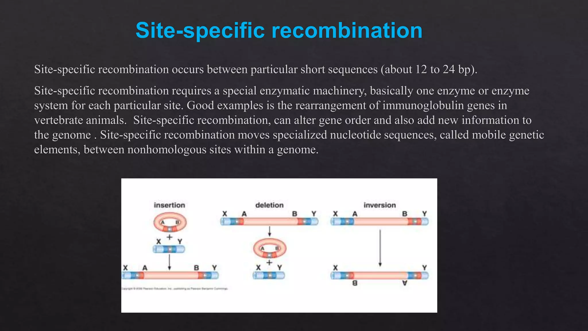 Recombination and chromosome mapping | PPTX