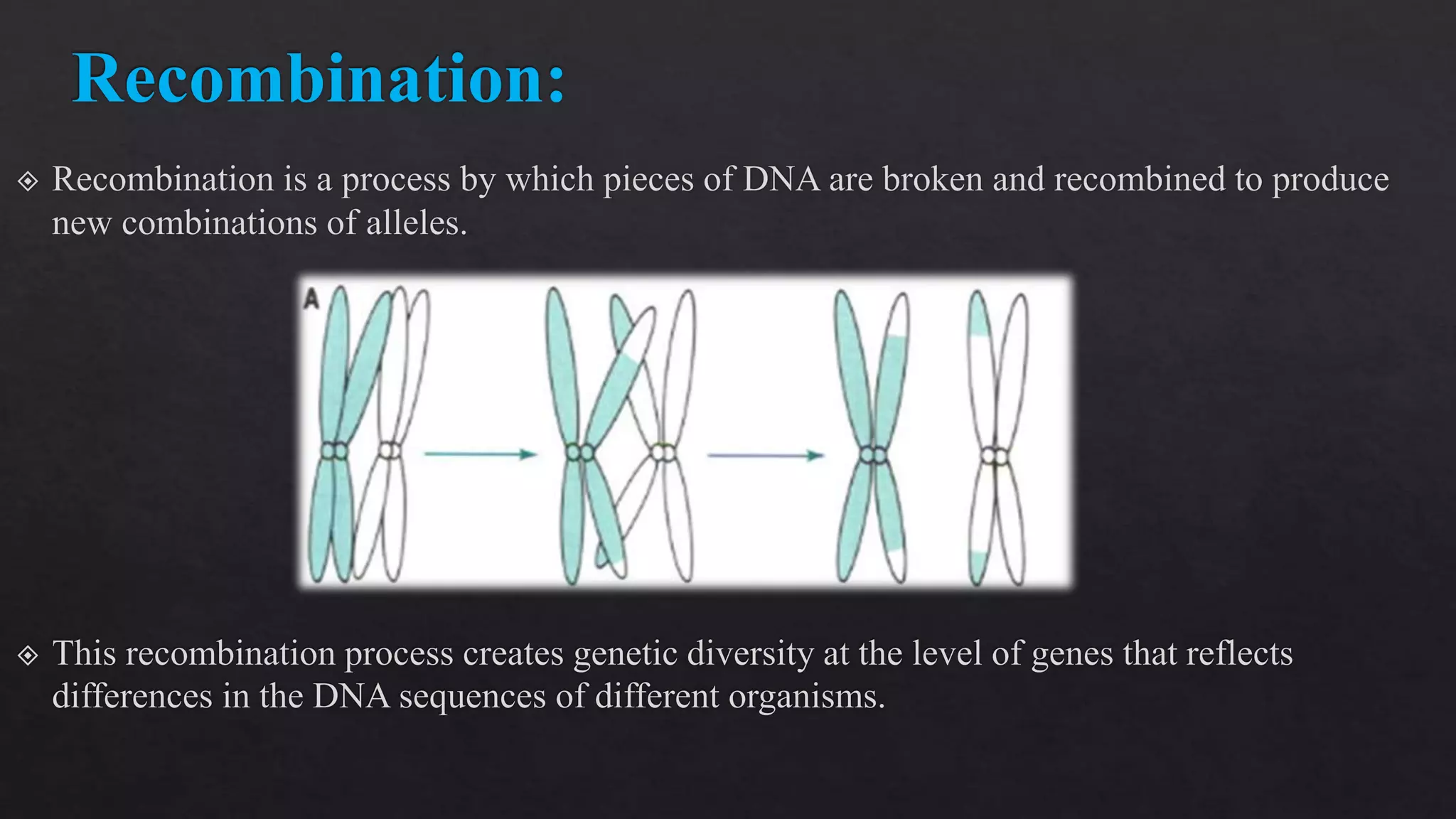 Recombination and chromosome mapping | PPTX