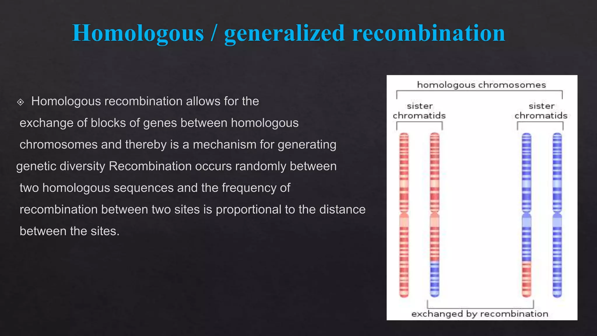 Recombination and chromosome mapping | PPTX