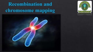 Recombination and chromosome mapping | PPTX