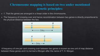 Recombination and chromosome mapping | PPTX