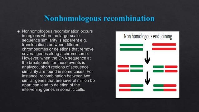 Recombination and chromosome mapping | PPTX