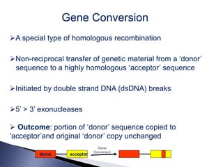 Recombination dna repair bincy | PPTX