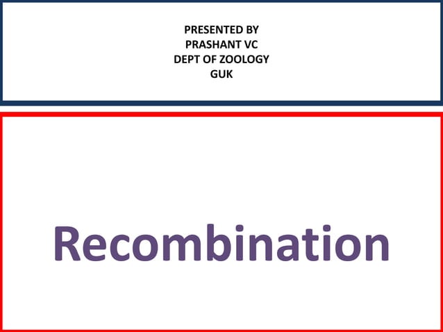 Recombination Final.ppt