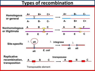 Recombination Final.ppt