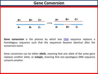 Recombination Final.ppt