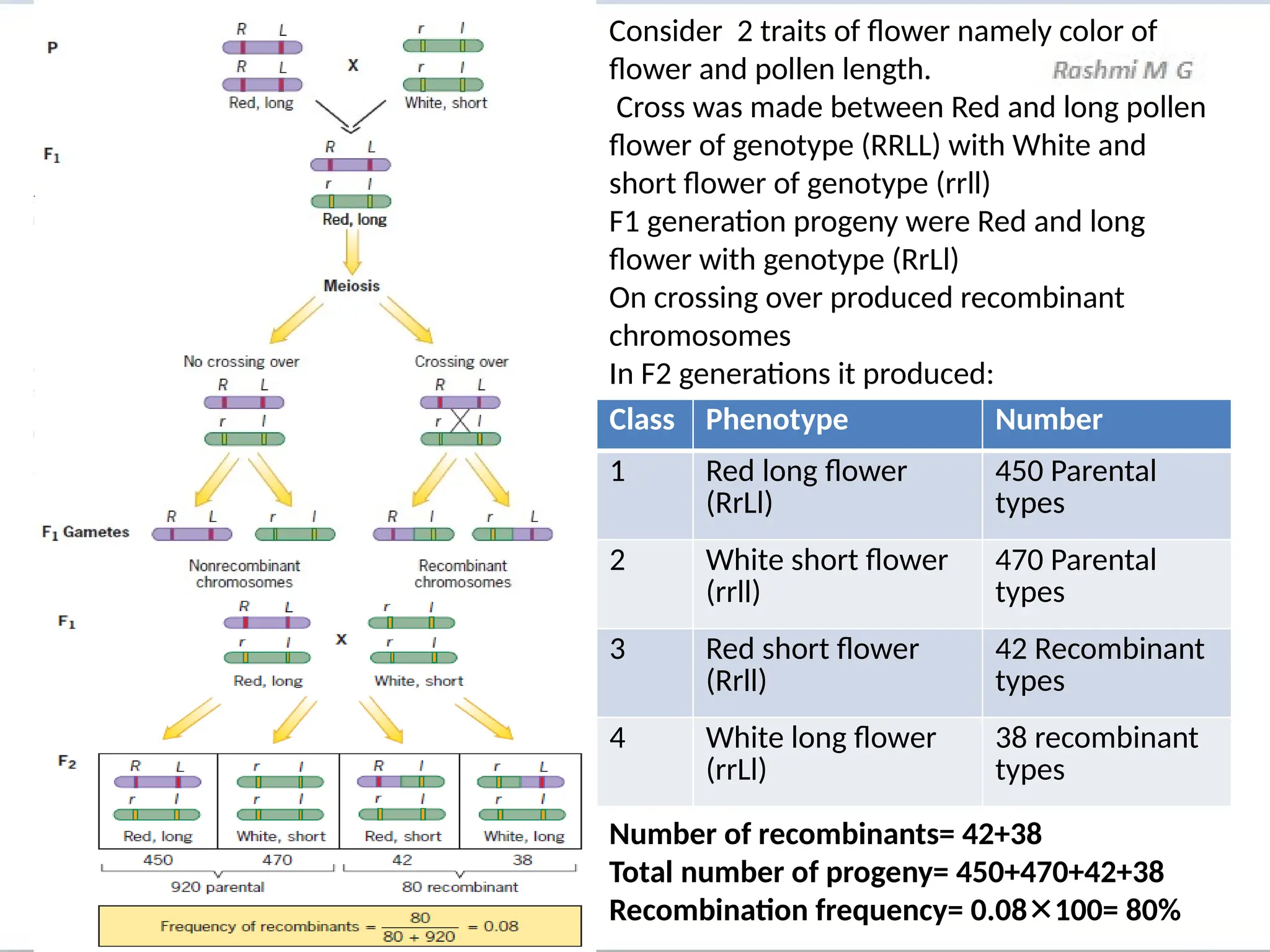 RECOMBINATION FREQUENCY (INTRODUCTION, CALCULATION).pptx