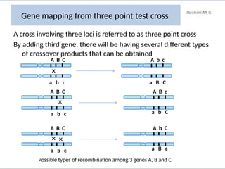 RECOMBINATION FREQUENCY (INTRODUCTION, CALCULATION).pptx